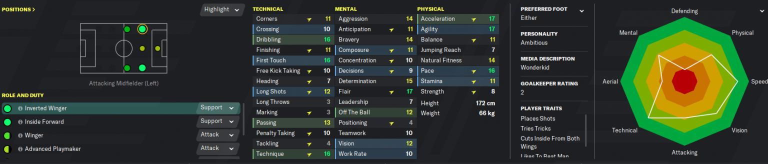 Football Manager Player Attributes Explained • Passion4FM.com